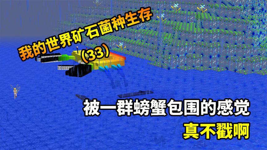 我的世界矿石菌种生存33:被一群螃蟹包围的感觉,真不戳啊