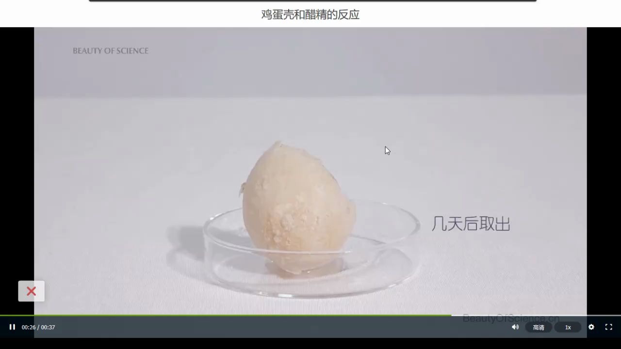 化学微课--二氧化碳的实验室制取