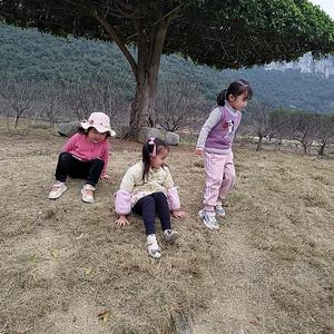 7天听课网3 