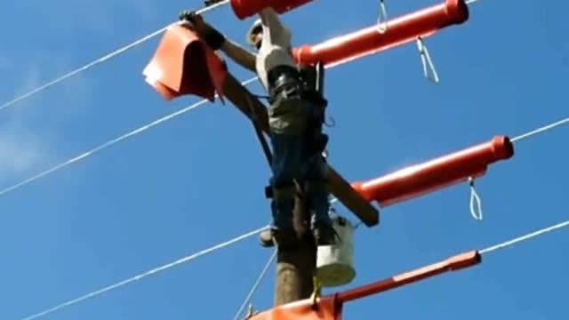 实拍美国电线杆还是木头的?落后啊,电工还要爬上去安装绝缘体