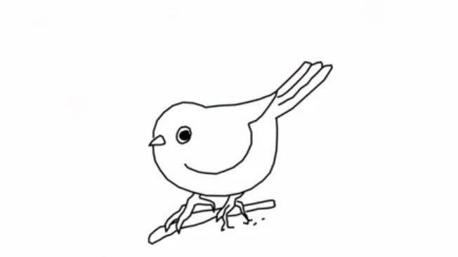 简笔画可爱的小鸟