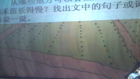 二年级语文下册 培优课堂 27.揠苗助长
