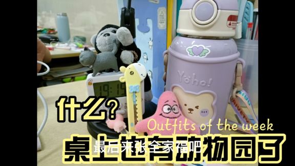 今日碎片——小动物们开大会