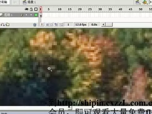 flash课件制作视频教程