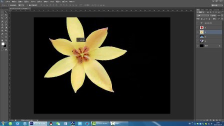 PS入门教程PS基础教程ps教程从零开始学全