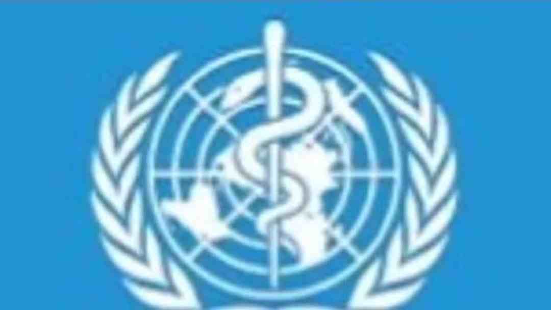 世卫组织最新疫情报告:新冠病毒与菊头蝠冠状病毒有关联!