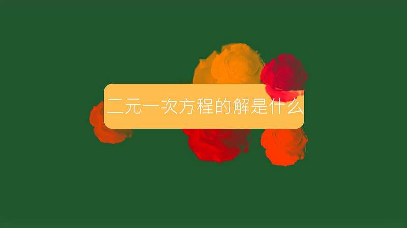 二元一次方程的解是什么