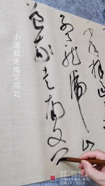 新光合计划热爱书法支持正能量草书