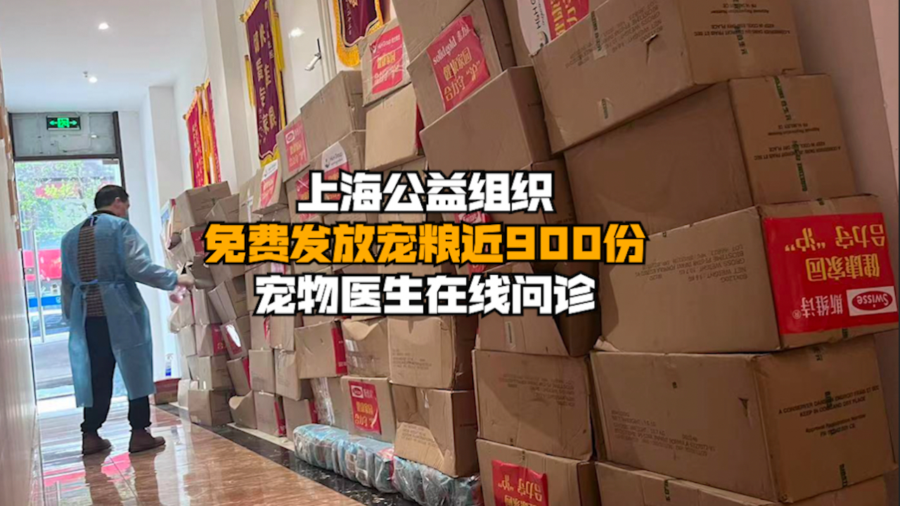 上海公益组织免费发放宠粮近900份,提供宠物在线问诊