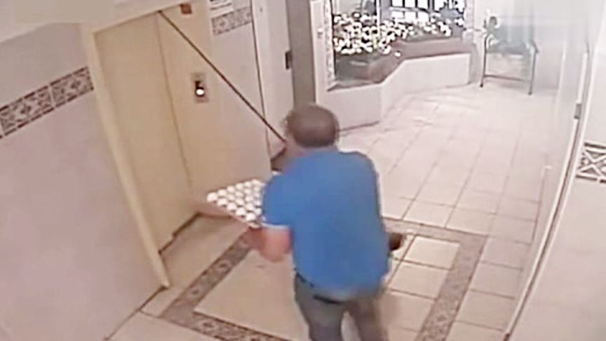 电梯安全科普:遛狗坐电梯发生的安全事故,养狗人士一定要看2