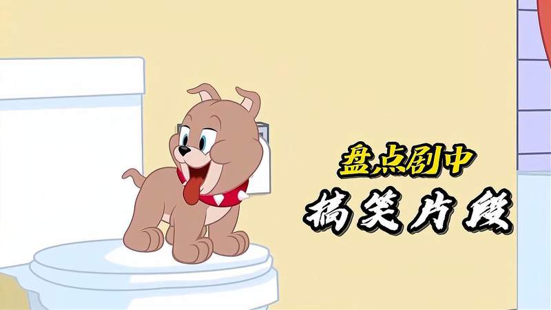 猫和老鼠:盘点剧中搞笑片段,汤姆竟被小狗吓破胆,画面令人搞笑