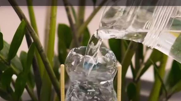 废物利用:用一次性筷子和空瓶子做浇花神器!