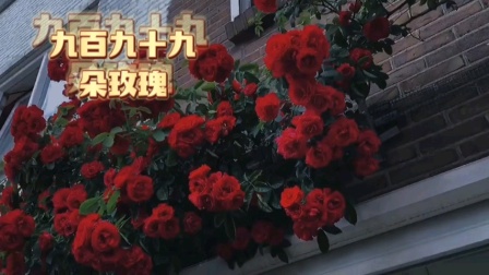 昨日的思想,带给你今日的结果,今日的行动,将决定明日的成就