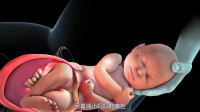 孕妈分娩时胎儿在做什么3D动画演示全过程,看完忍住别笑