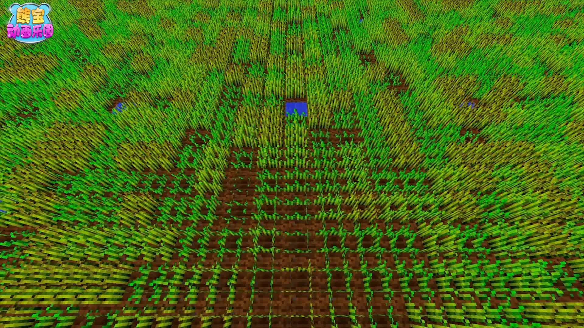 我的世界令人心情愉悦的视频 欣赏小麦的生长过程