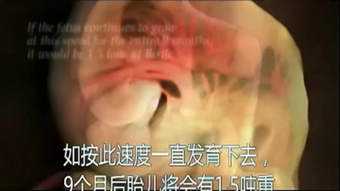 4分钟让你了解从怀孕到分娩全过程