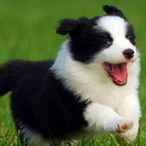 嗯记录下自己的生活 