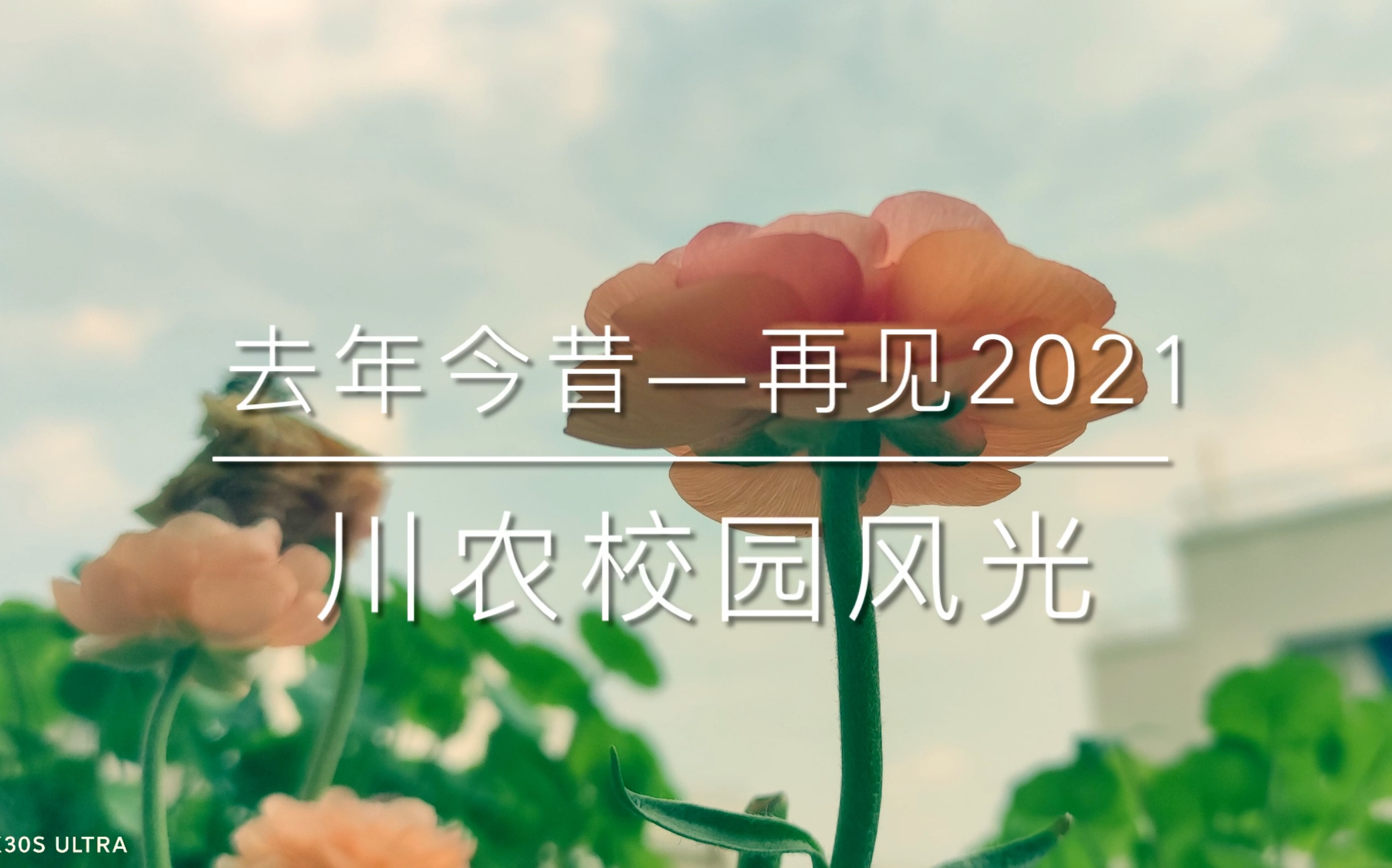 回顾2021·川农大校园风光摄影