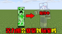 我的世界:不灵姐说模组 第二季 第31集 当MC玩家隐身后,这些生物会...
