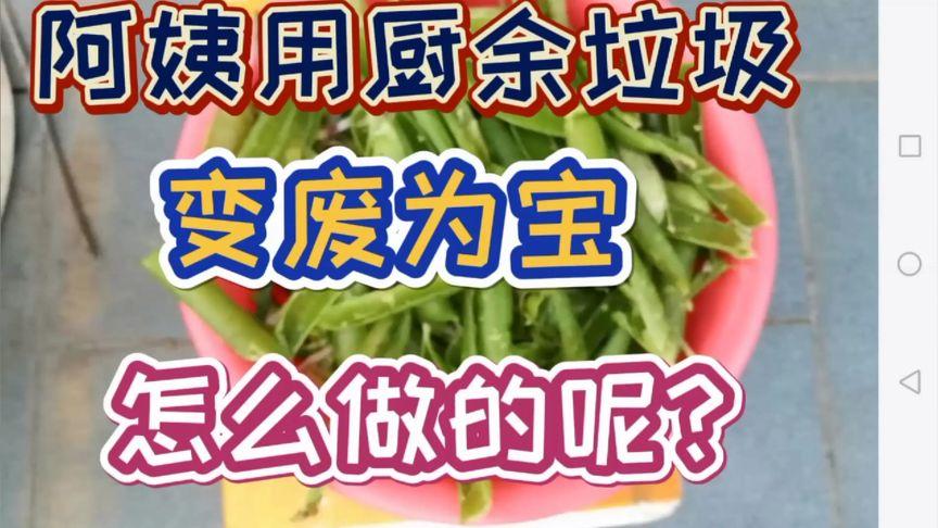 疫情防控限出行,阿姨把厨余垃圾变废为宝,怎么做呢?