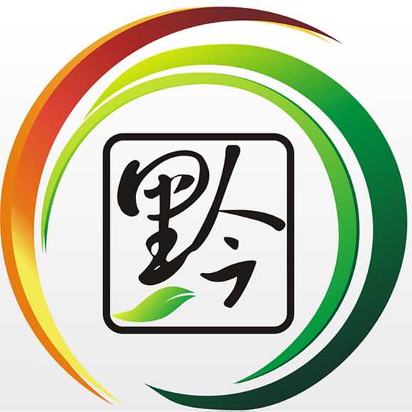 黔影先锋电脑科技 