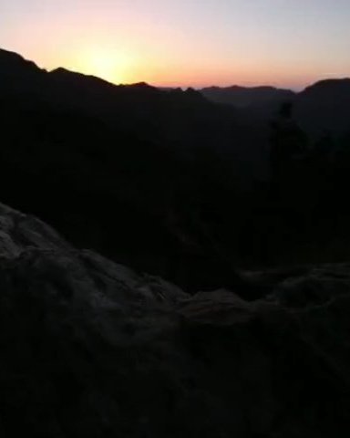 生态环境部发布生物多样性宣传片:共赴“昆明之约”!