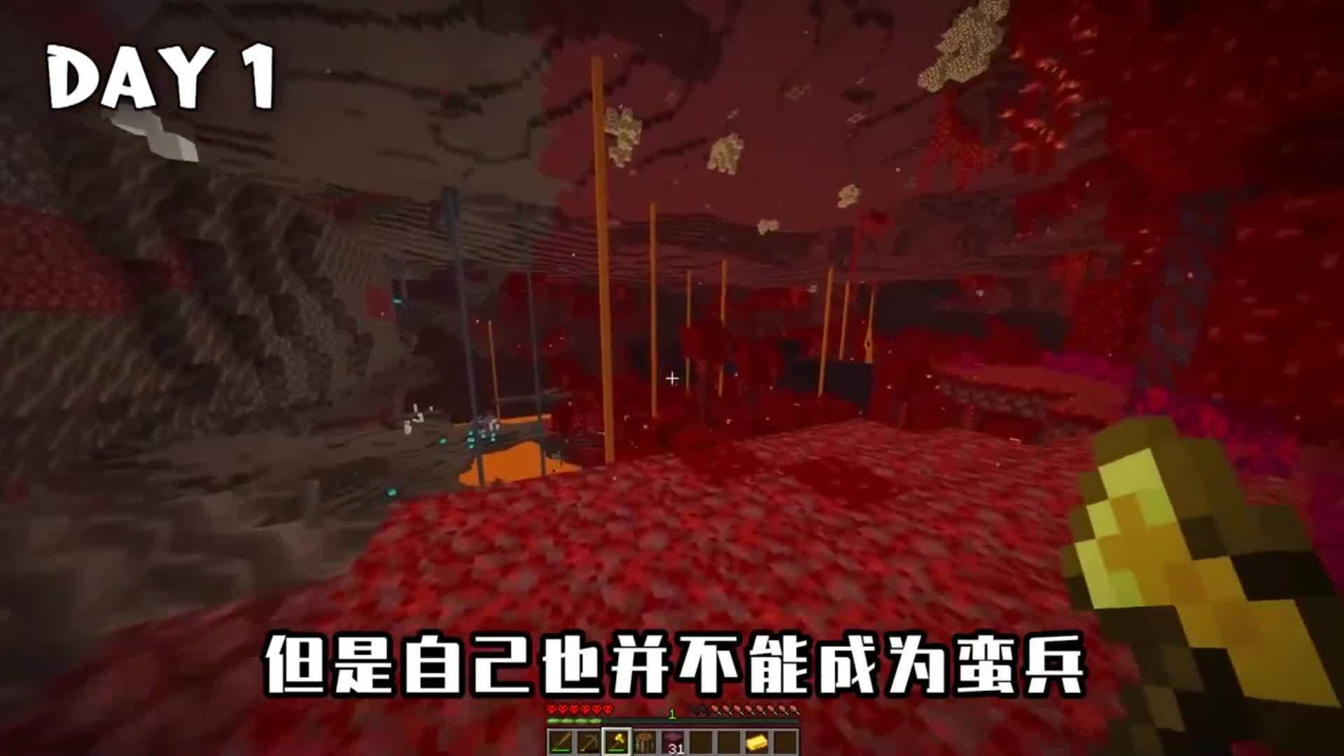 我的世界:变成猪灵在下界生存?染上猪灵的习惯,喜爱金制品