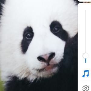 难忘一天 