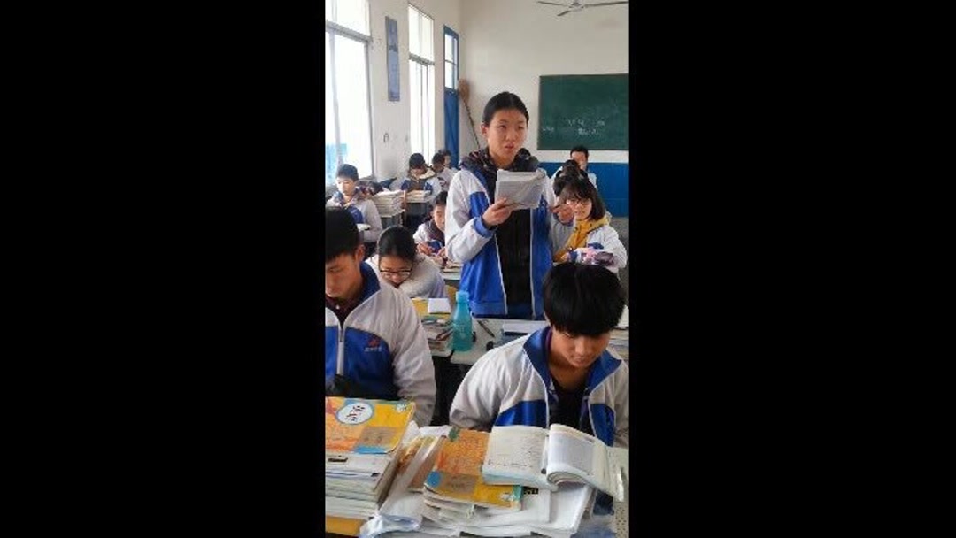 《再别康桥》课堂教学片段.mp4