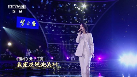 谭维维《墨梅》惊艳全场 掌声不断 经典咏流传 180216