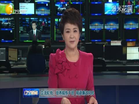 交流轮岗:培养锻炼干部 规避廉政风险