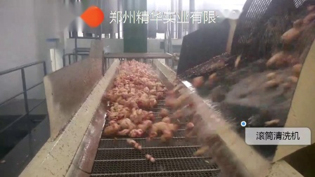 新鲜红薯清洗设备滚筒清洗机