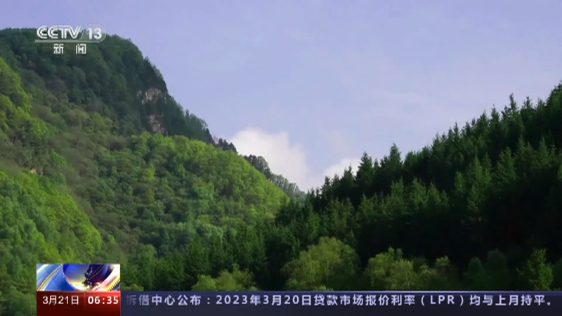...今天是第十一个国际森林日 我国成为全球森林资源增长最快最多国家