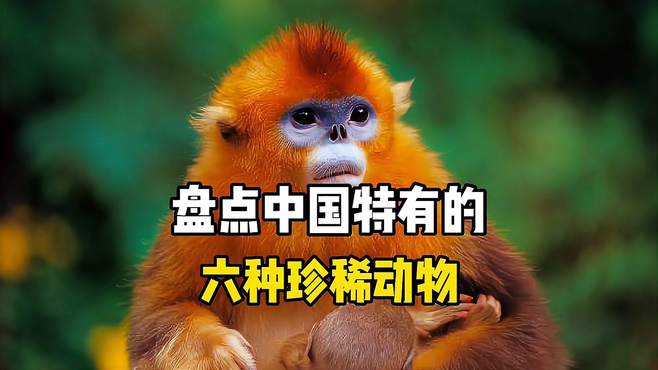 中国特有的六种珍稀动物,你知道几种?