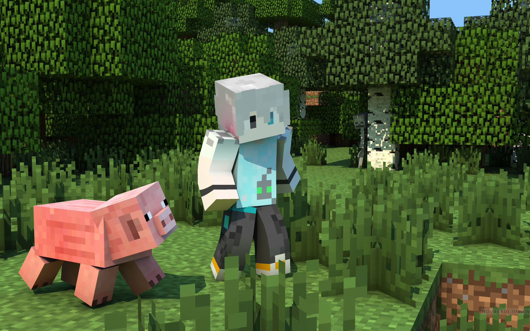 我的世界-泥土是钱神奇宝贝EP1