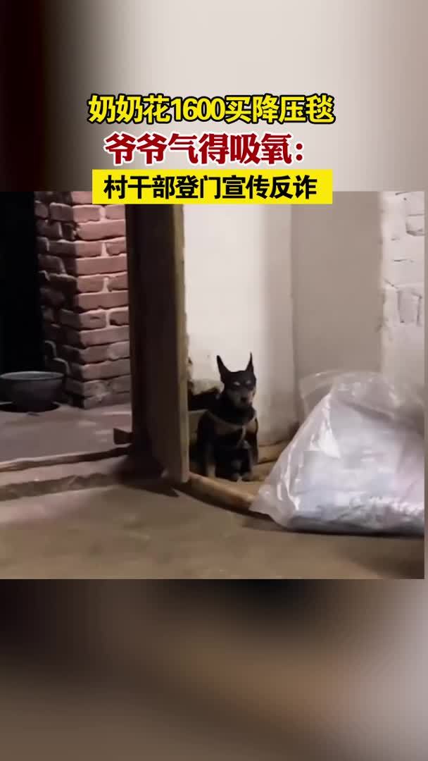 ...村干部登门宣传反诈,村里面可能还要开村委大会,奶奶成为宣讲案例