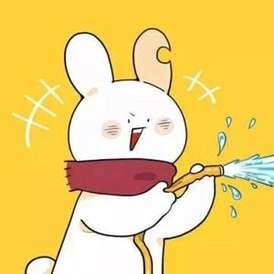 乔蛋蛋爱电视 