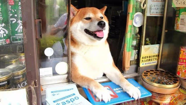 日本最奇怪的便利店,老板不是人类,却吸引了大量顾客前往