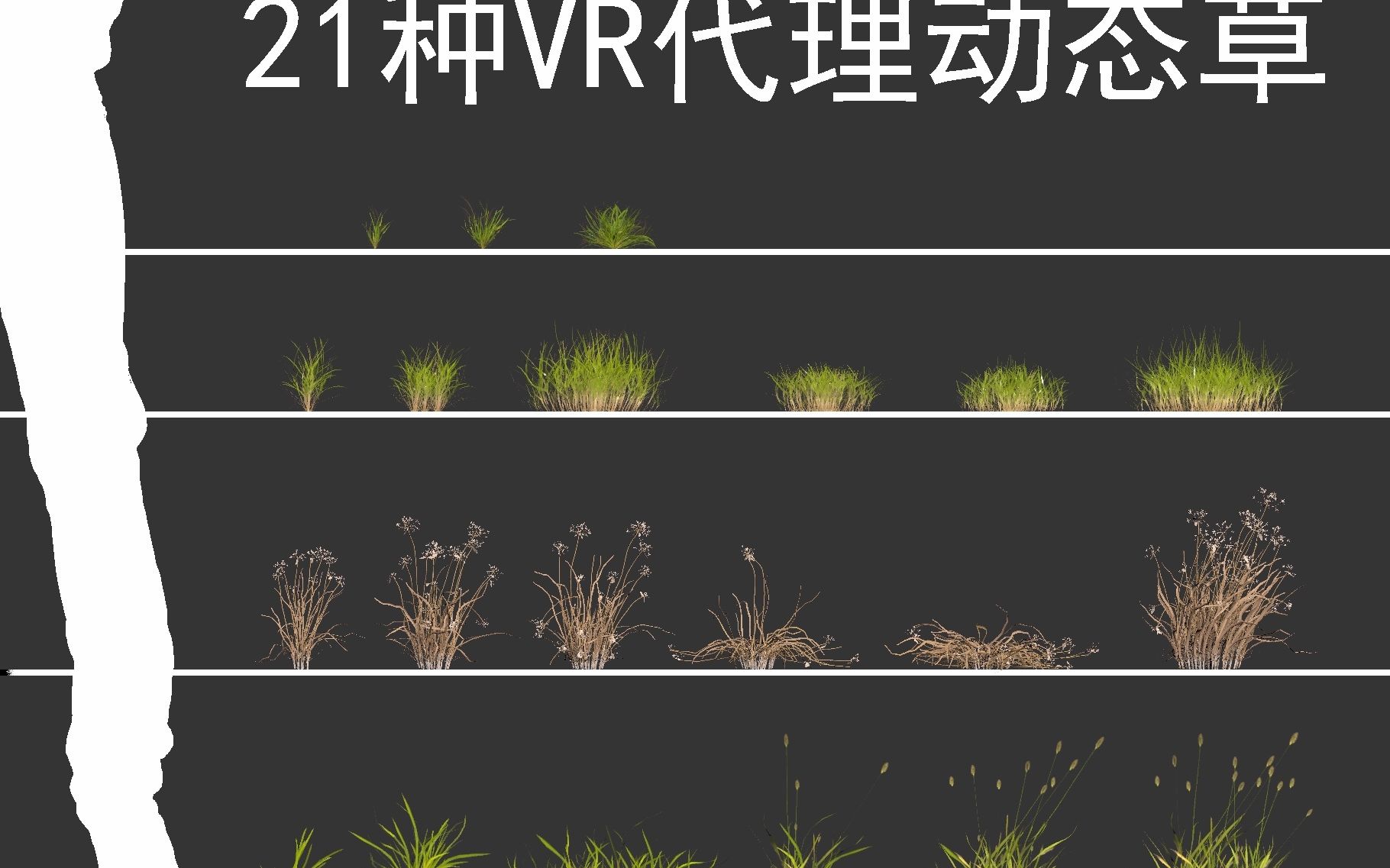 3dmax,Vray代理动态草,无限循环