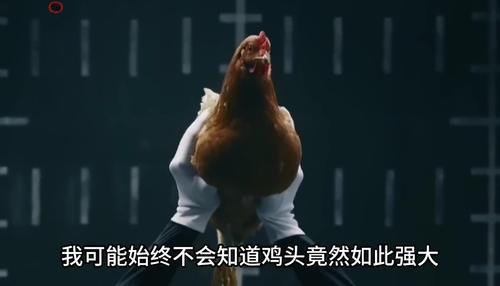 为什么鸡头的稳定性这么强?无论怎么晃动,它的鸡头都能稳稳不动