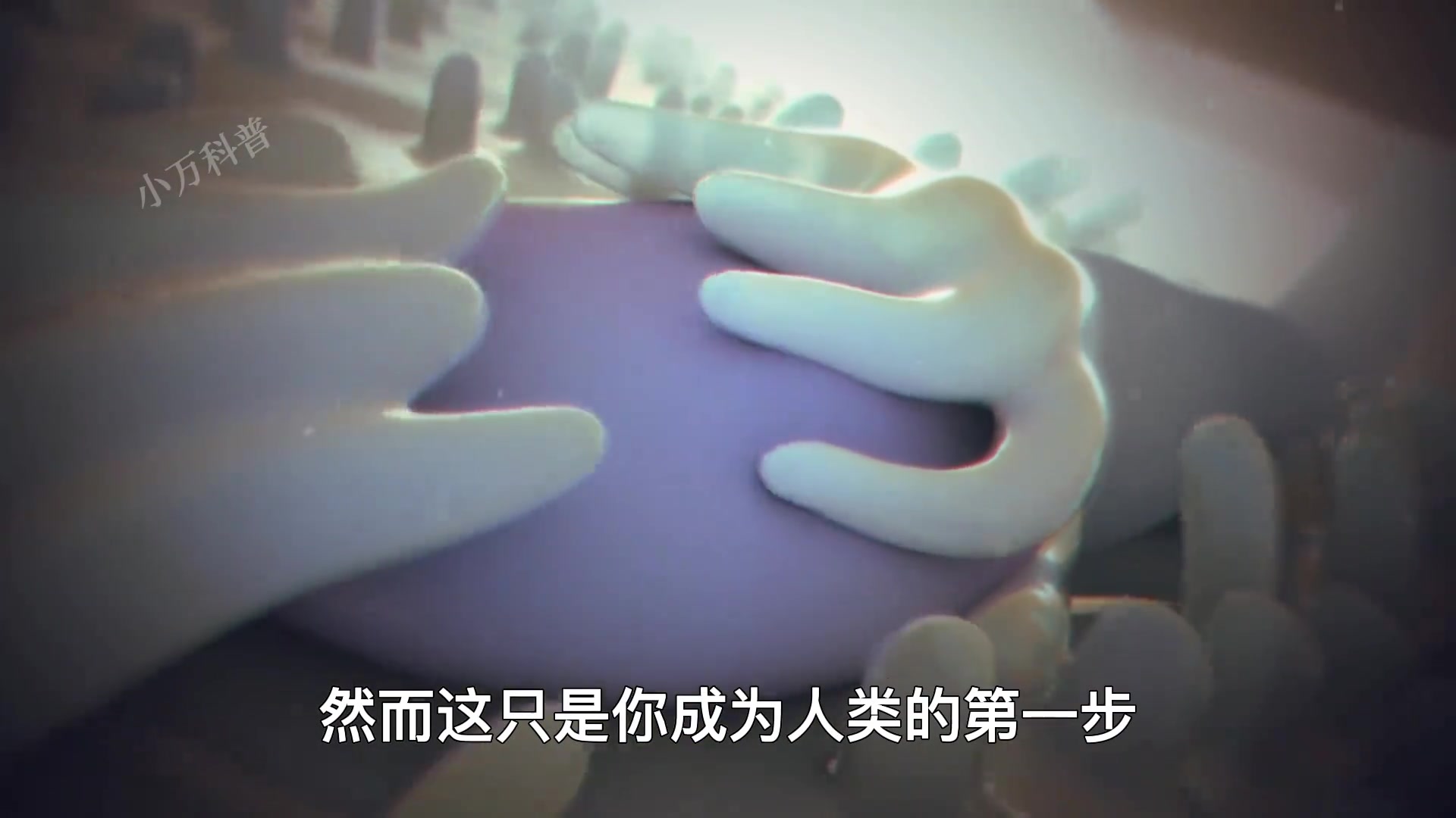 一次性看完生命诞生的全过程,看完不得不感叹,实在是太神奇了!