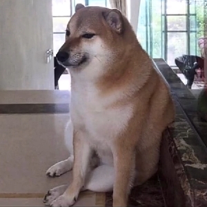 溜了溜了丘丘人 