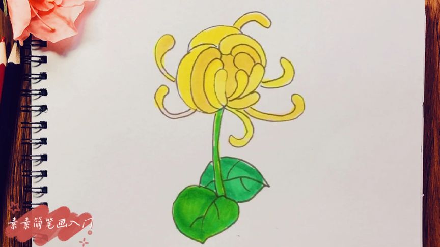 儿童亲子绘画简笔画入门,简单好看的菊花,你学会画了么?
