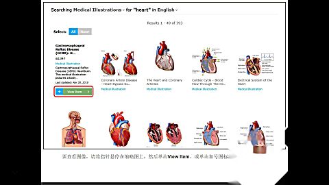 SMART Imagebase 基本检索