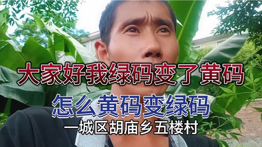 大家早上好,我12号健康码变成黄码,怎么回事黄码变绿码