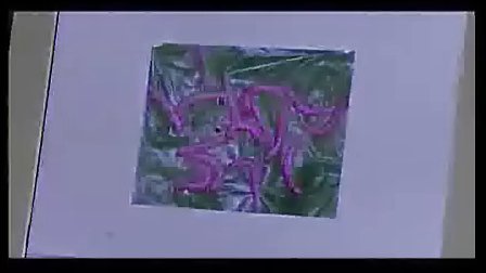 蚕丝被的制作过程