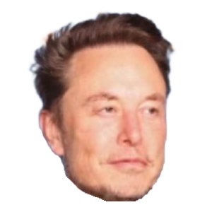 ElonMuskForReal 