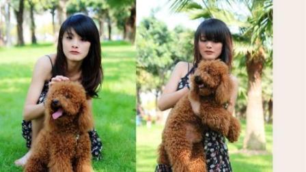 训犬教程 训练狗狗上厕所