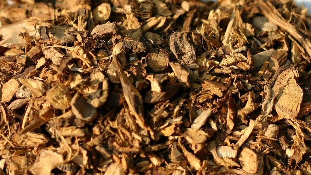 这种植物,根部相当珍贵,人称“山豆根”,味道比黄连还苦