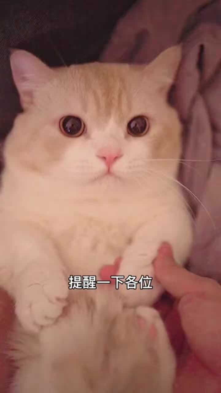记得提前拉完,还有时间 跨年 2022年 跨年倒计时